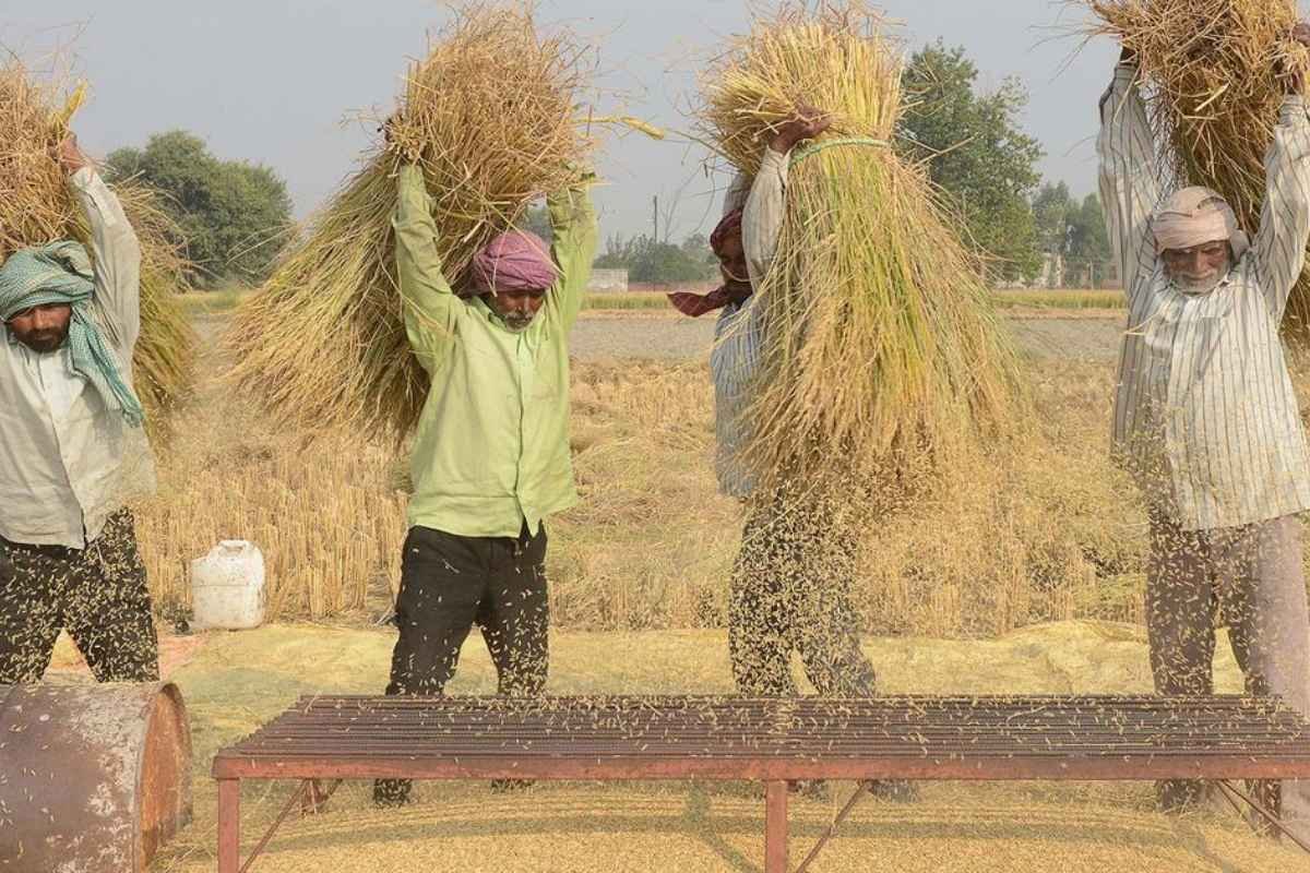 Sowing Awareness, Growing Change: How Rural Conversations Are Shaping ...