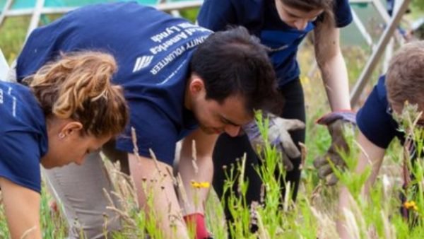 CSR and Sustainable Farming: 10 Proven Ways Companies Are Creating Real ...