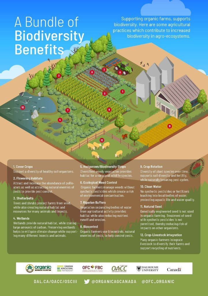 Can Organic Farming Feed the World? A Deep Dive into Yields, Economics ...