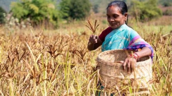 Creating Shared Value through Sustainable Agriculture: Lessons from Top ...