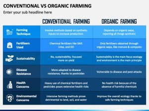 Sustainable Agriculture vs. Organic Farming: What’s the Difference and ...