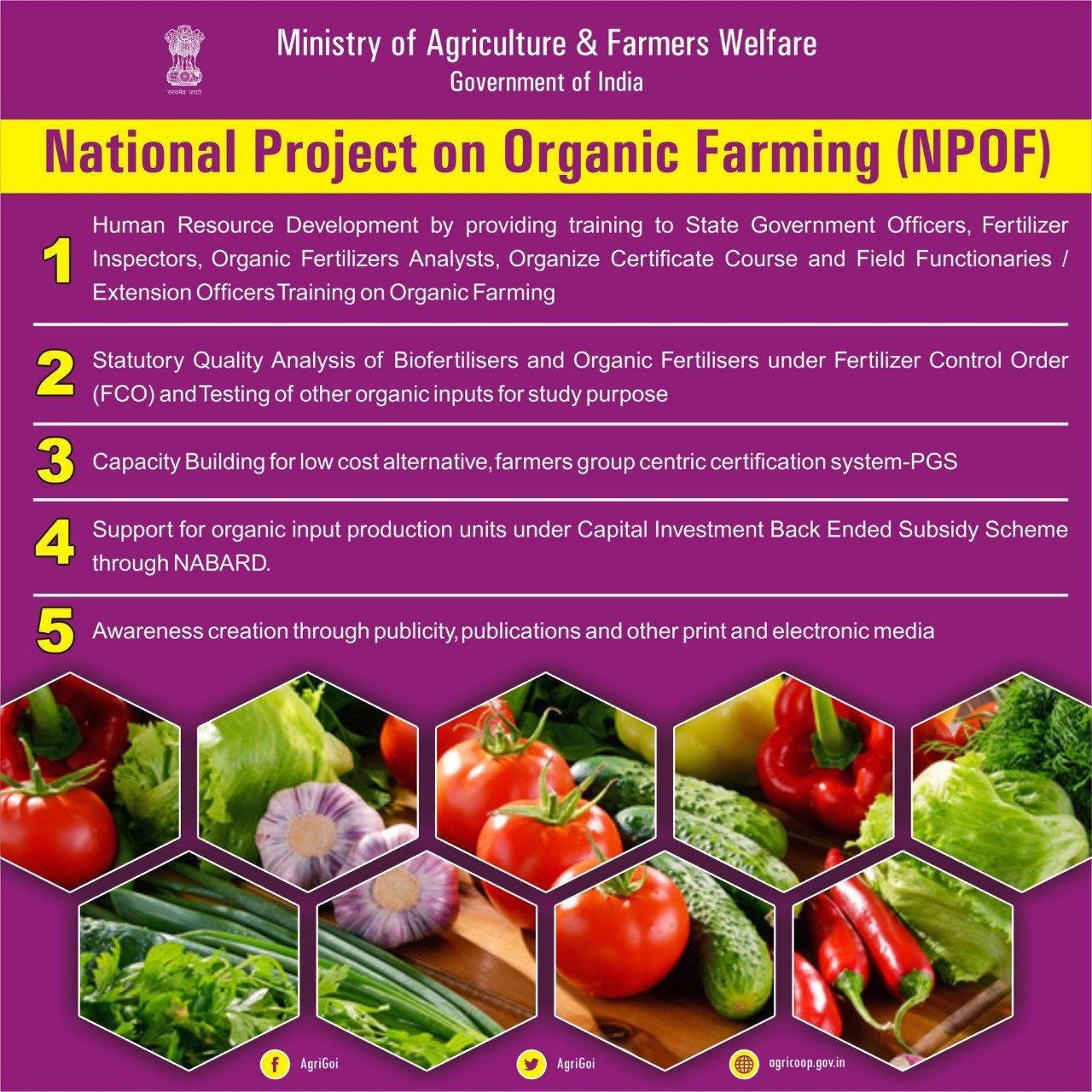 From Policy to Plate: How Governments Can Accelerate the Organic ...