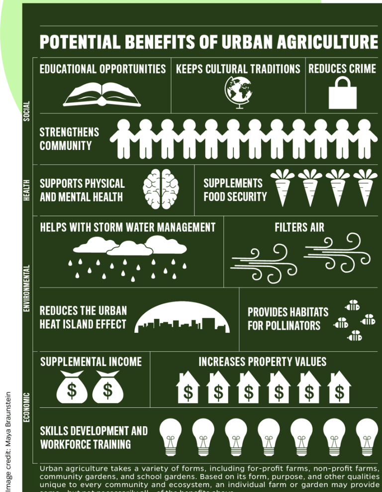 The Rise of Urban Organic Farms: How Cities Are Growing Their Own Food ...
