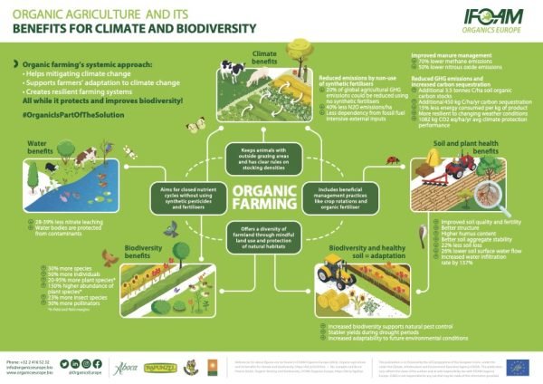 The Science Behind Sustainable Soil: How Soil Testing Is Transforming ...