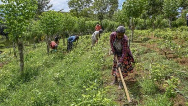 The Science Behind Sustainable Soil: How Soil Testing Is Transforming ...