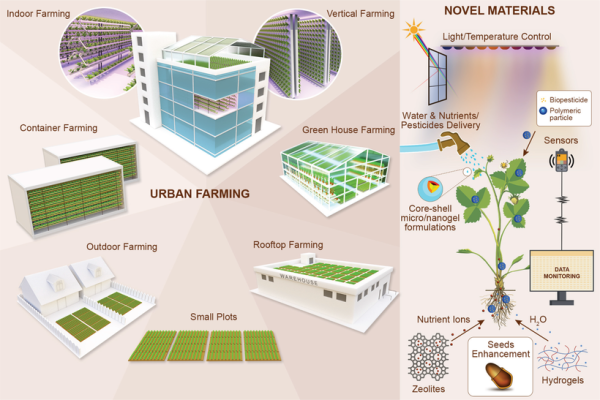 Farms Beneath the Skyline: Rooftop Agriculture as the Next Urban Food ...