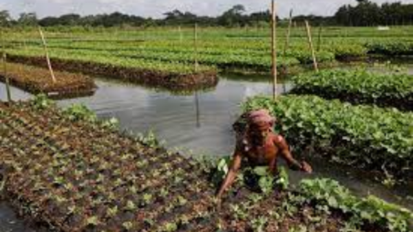 Floating Farms: Merging Agriculture and Aquatic Ecosystems in ...