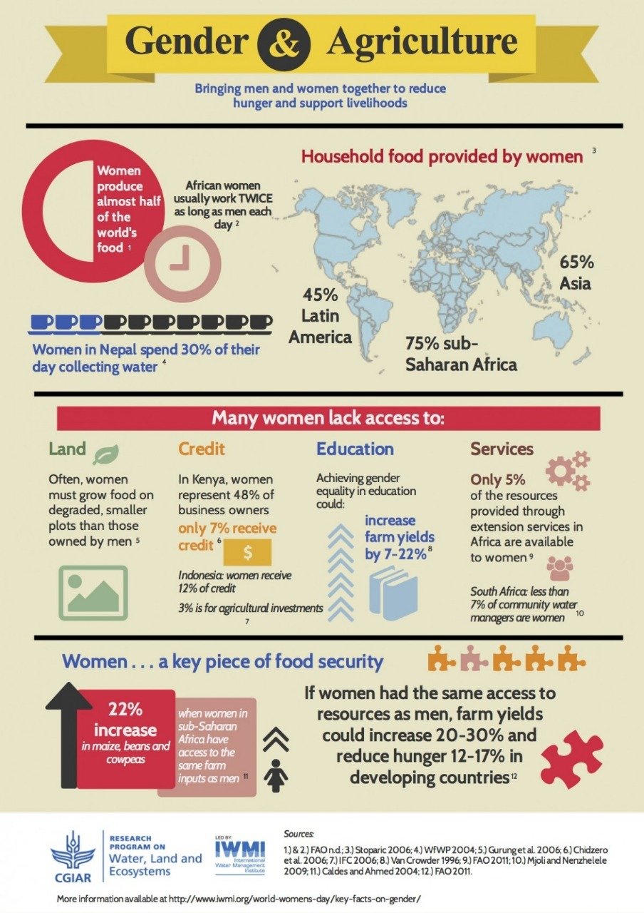 Women of the Soil: Rural Indian Women Leading an Agroecological ...