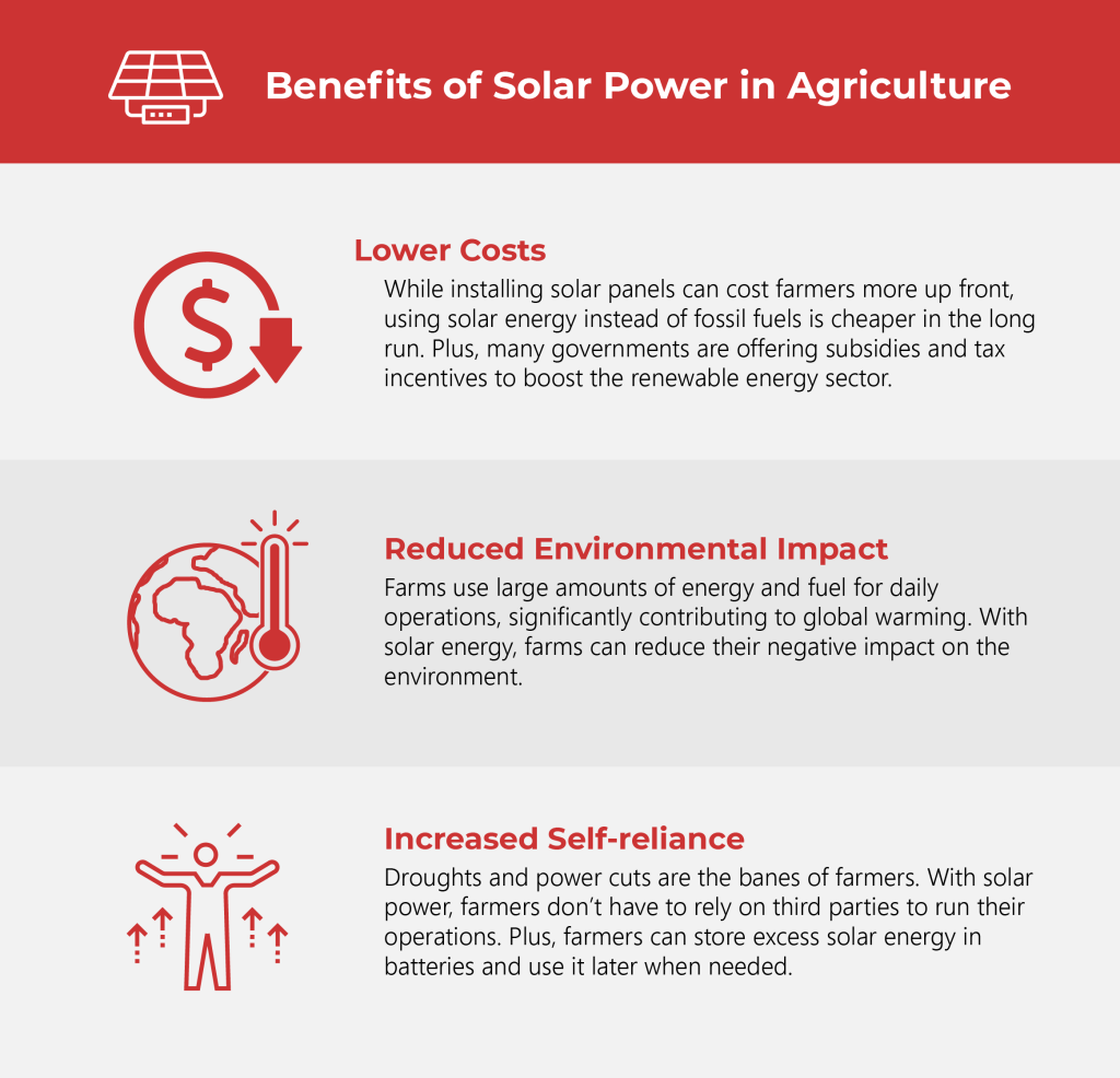 The Agri-Energy Alliance: Linking Clean Power with Sustainable Food ...