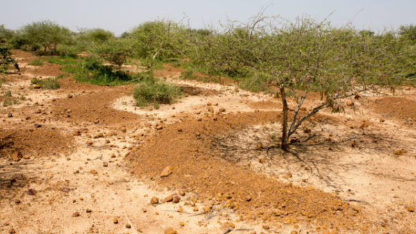 Ghaggar-Hakra River Restoration and Sirsa’s Urban Future: Earth5R’s ...