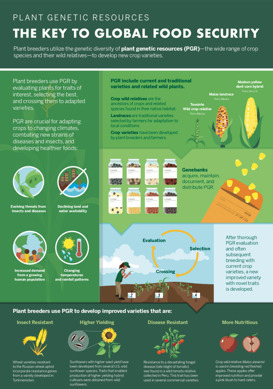 Rural Seed Banks: Earth5R’s Strategy for Preserving Indigenous Crop ...