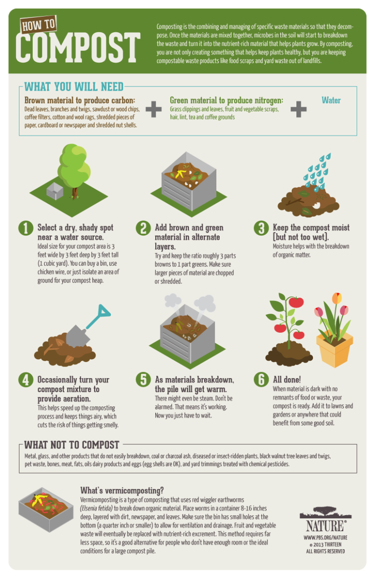 Turning Waste into Fertility: Earth5R’s Composting Programs Empowering ...