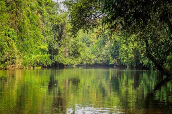 Sustainable Tourism: 20 Global Destinations Leading the Way : Earth5R